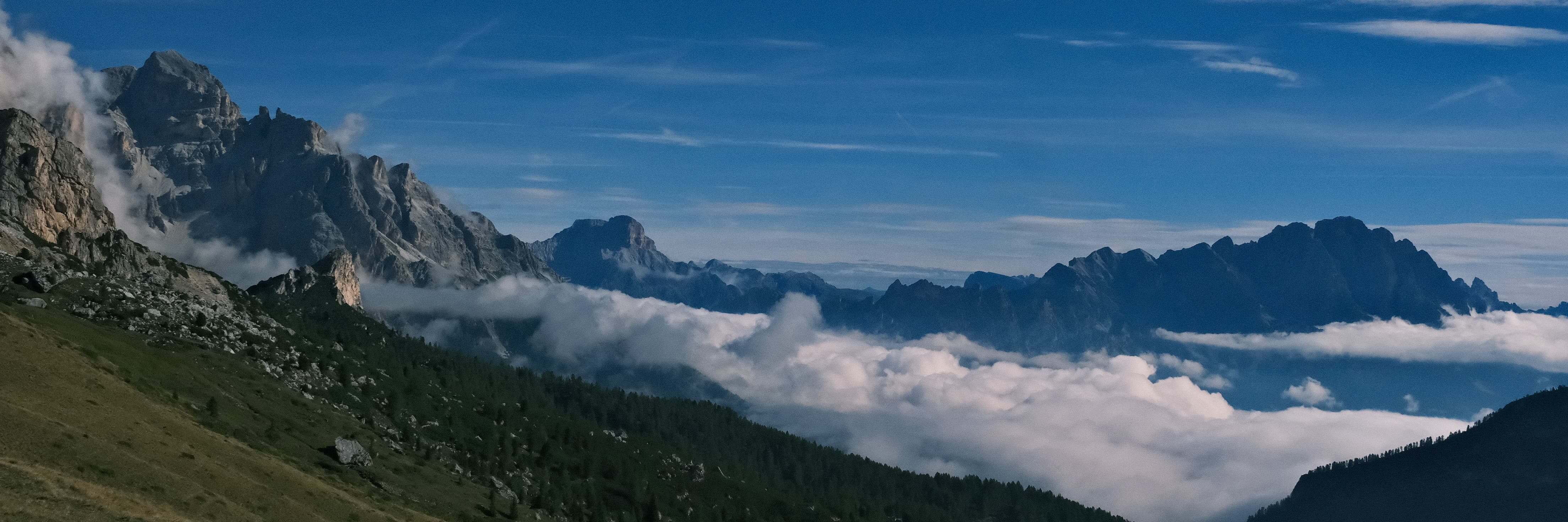 Selva · QSD’s House of Wonders